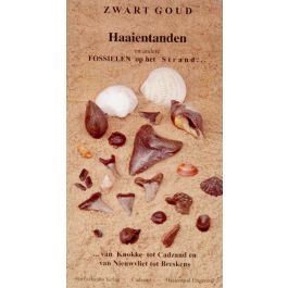 Haaientanden en andere fossielen in cadzand en nieuwvlietbad